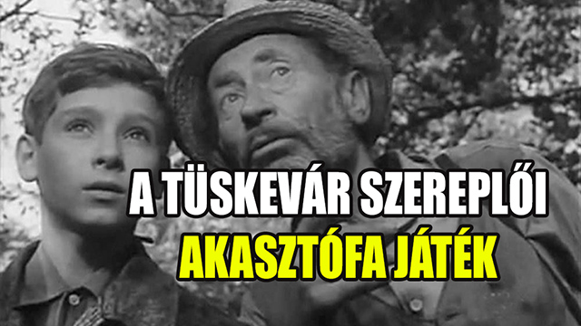 A Tüskevár szereplői AKASZTÓFA JÁTÉK