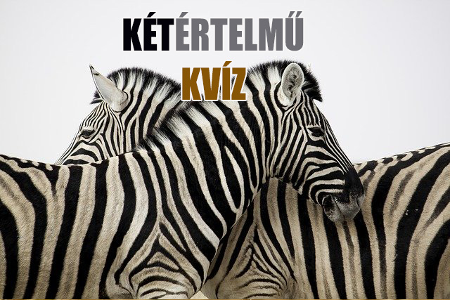 Kétértelmű kvíz! Sokan szórakoznak vele, így szórakoznak! - Fejtsd meg ...