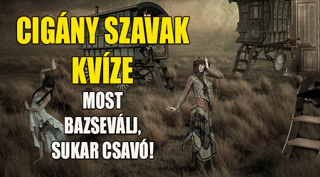 Cigány szavak kvíze! A séród jobb, vagy a bulád? - Fejtsd meg most ...
